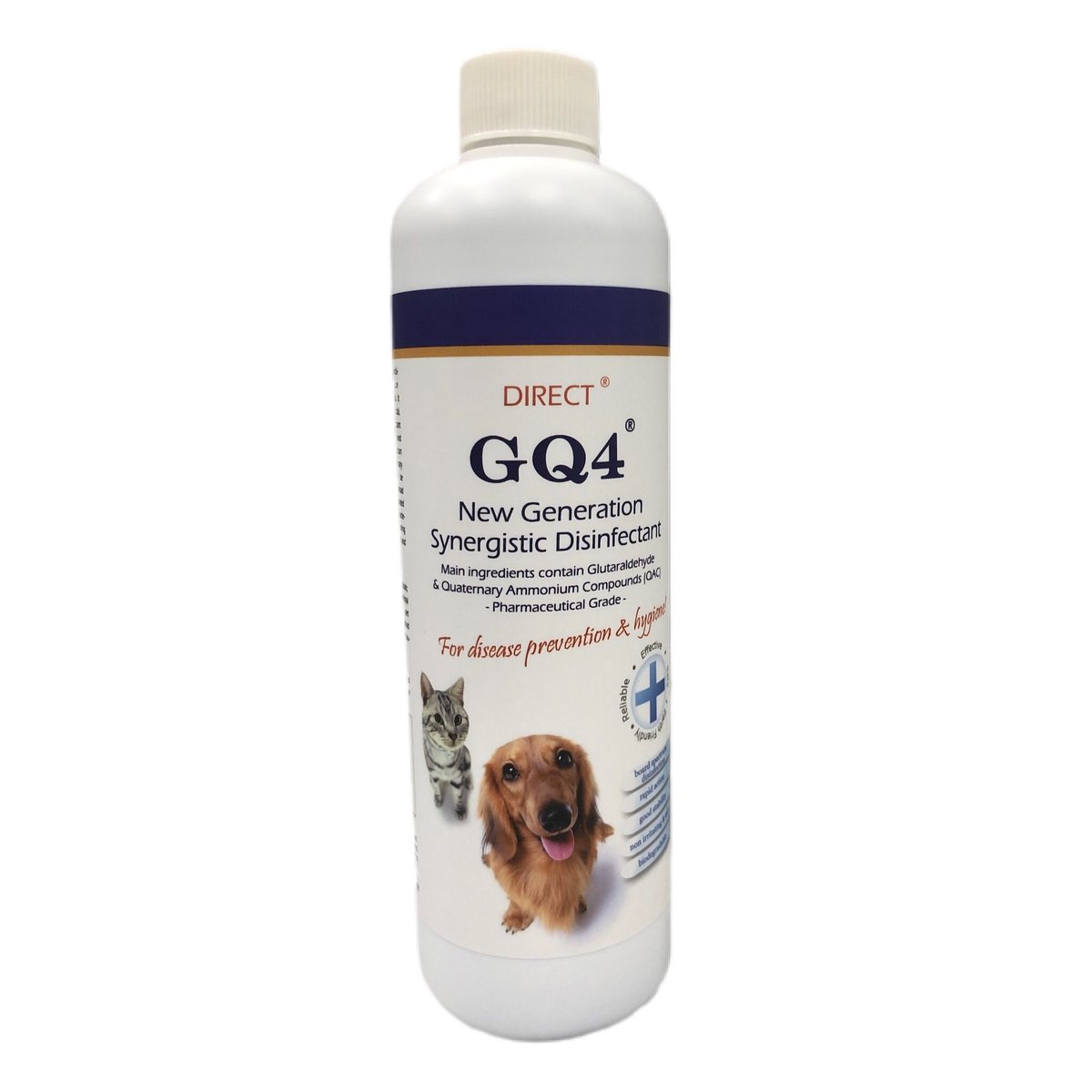 DIRECT | [GQ4] New Generation Synergistic Disinfectant (500ml) Disease ...