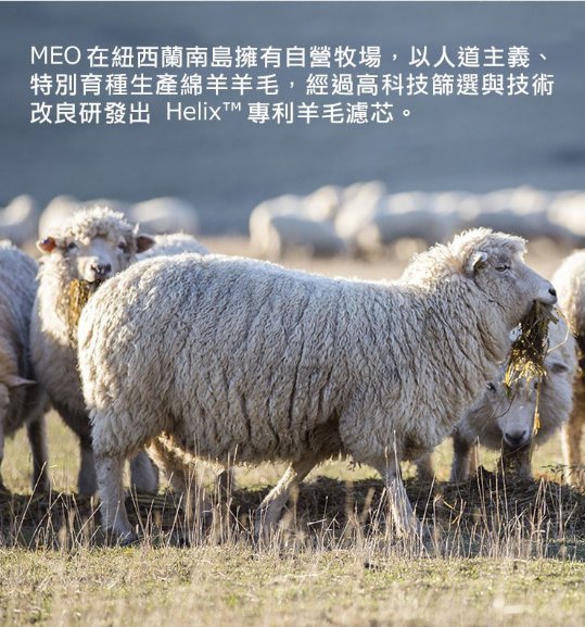 MEO | MEO™️ Helix Lite Reusable Mask ( Blue ) Large - KN95 fit tested ...