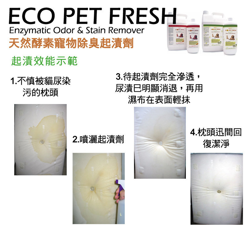 DIRECT | ECO Pet Fresh V2 500ml (Bioenzymatic Odor & Stain Remover ...