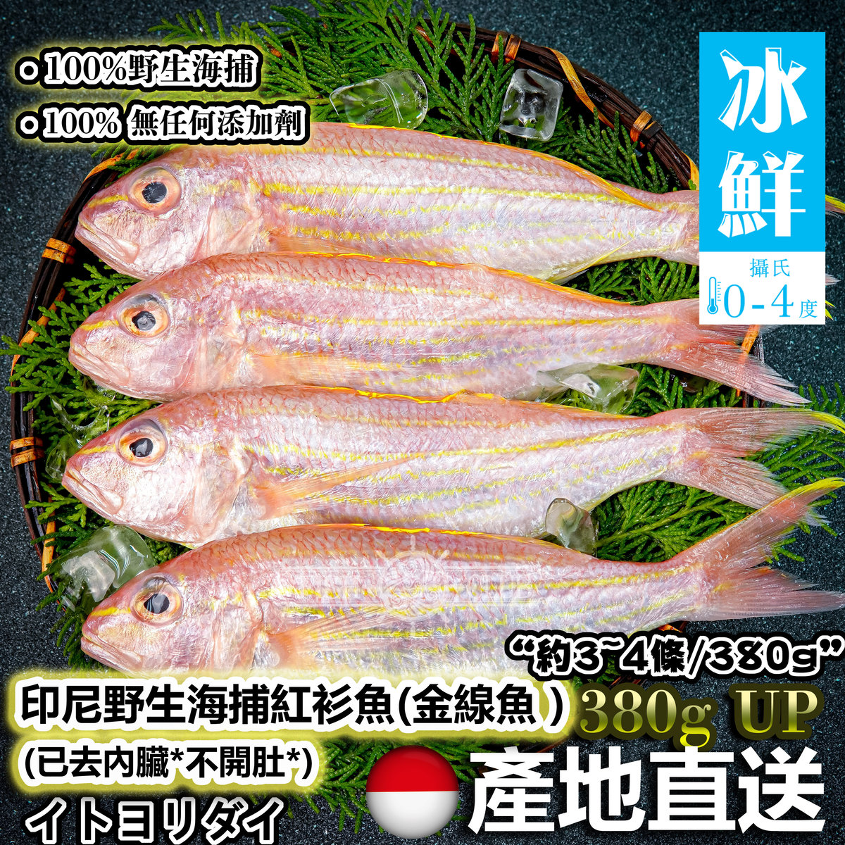 Fish Club | CHILLED GOLDEN THREADFIN BREAM FISH (GUTTED ** NO BELLY ...