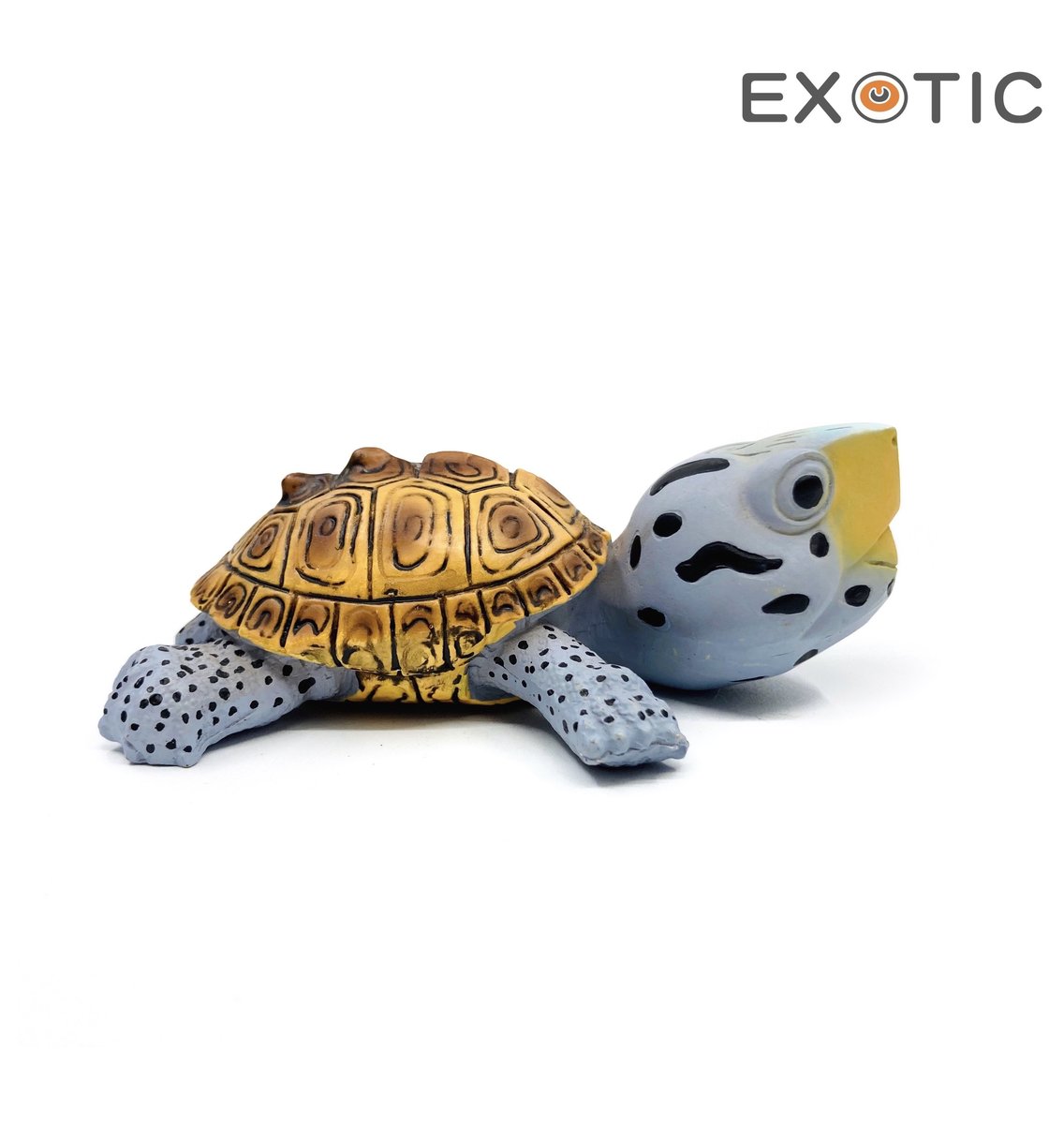 EXOTIC | Tortoise Model｜Diamondback terrapin | HKTVmall The Largest HK ...