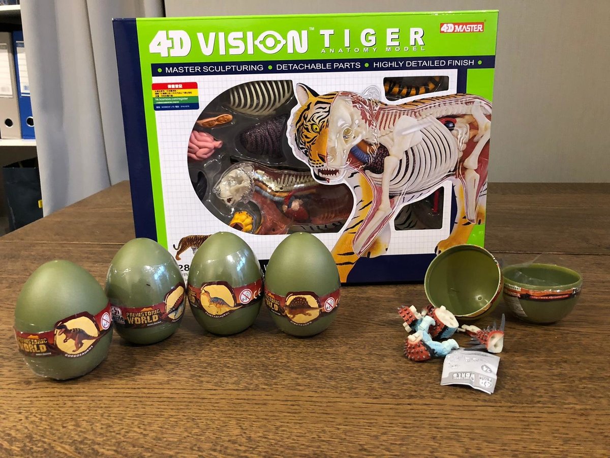4D MASTER | Puzzle 拼圖 - 老虎解剖模型 | HKTVmall 香港最大網購平台